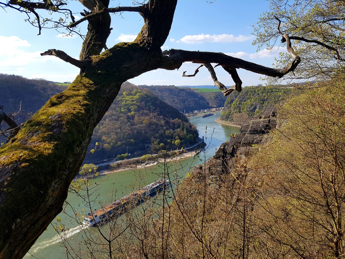 Rheinsteig – Travel Nau